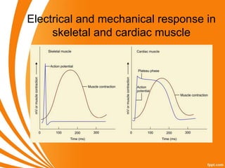 Cvs 2 mechanical properties of cardiac muscle | PPT