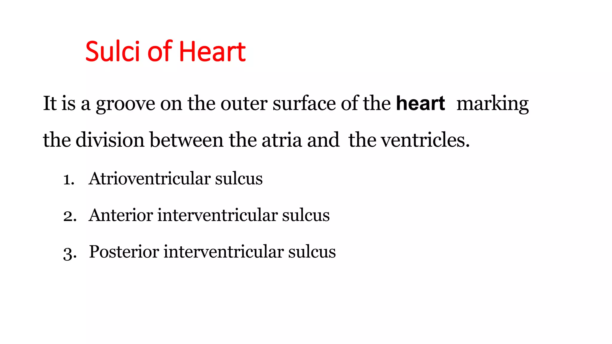 CVS ANATOMY- The Heart.pptx