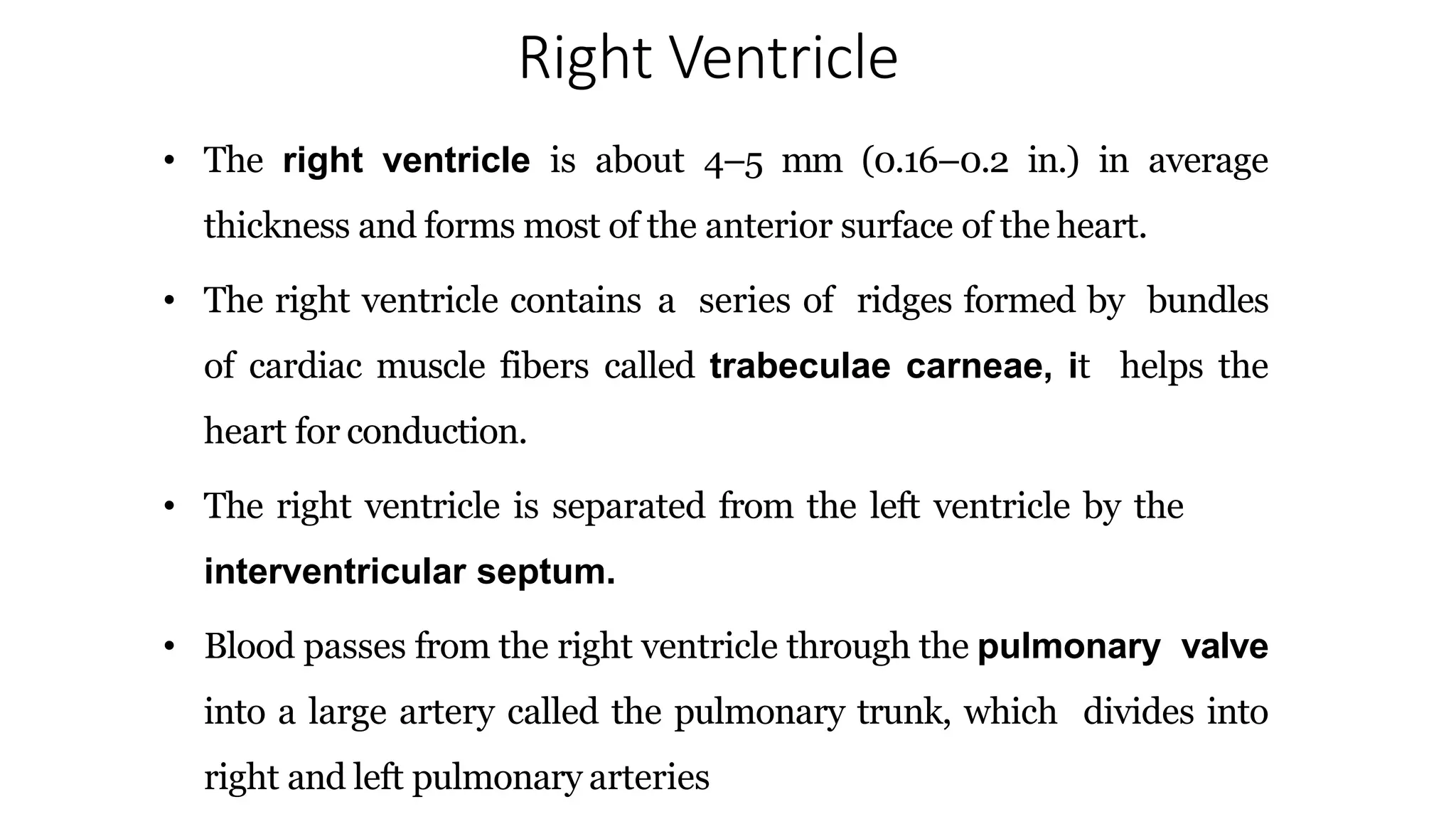 CVS ANATOMY- The Heart.pptx