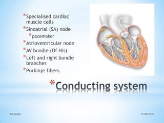 CVS (ANATOMY OF THE HEART) (1).pdf