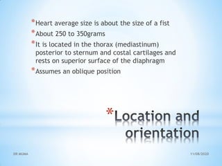CVS (ANATOMY OF THE HEART) (1).pdf