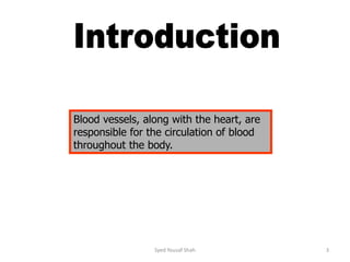 Unit VIII: The Cardiovascular System AP | PPT