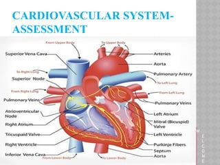 CVS ASSESSMENT.MEDICAL SURGICAL NURSING I | PPTX