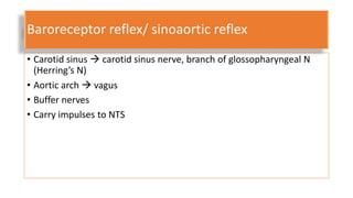 CARDIOVASCULAR SYSTEMS HEARTBLOOD SUPPLY | PPTX