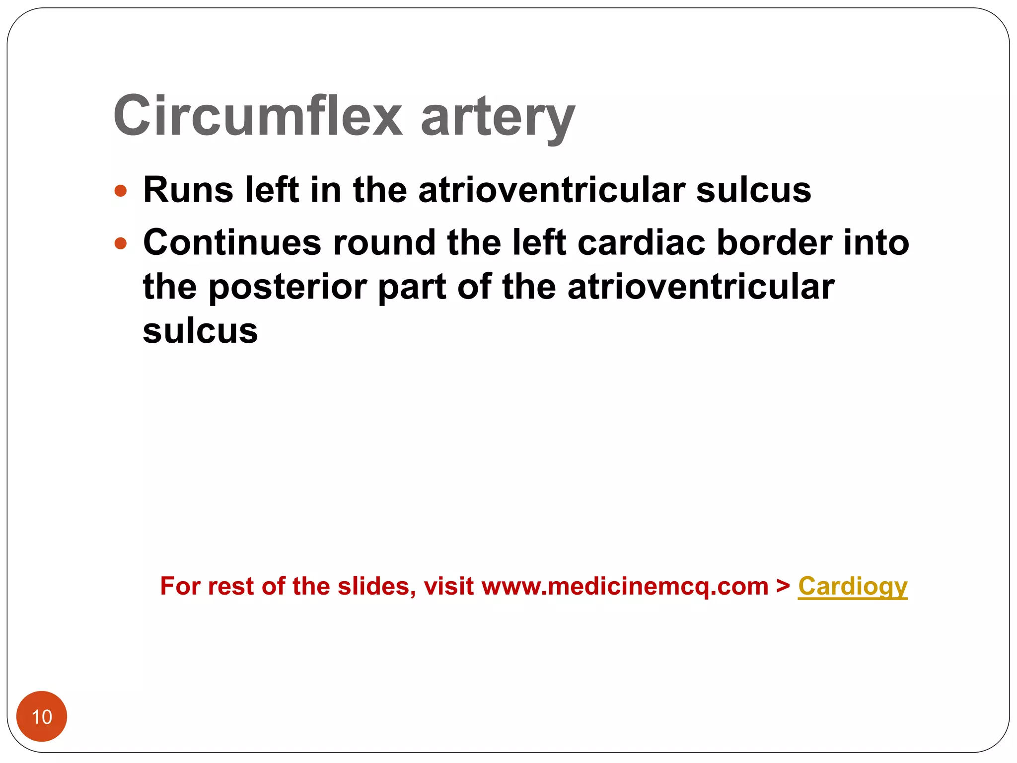 Coronary Circulation | PPTX