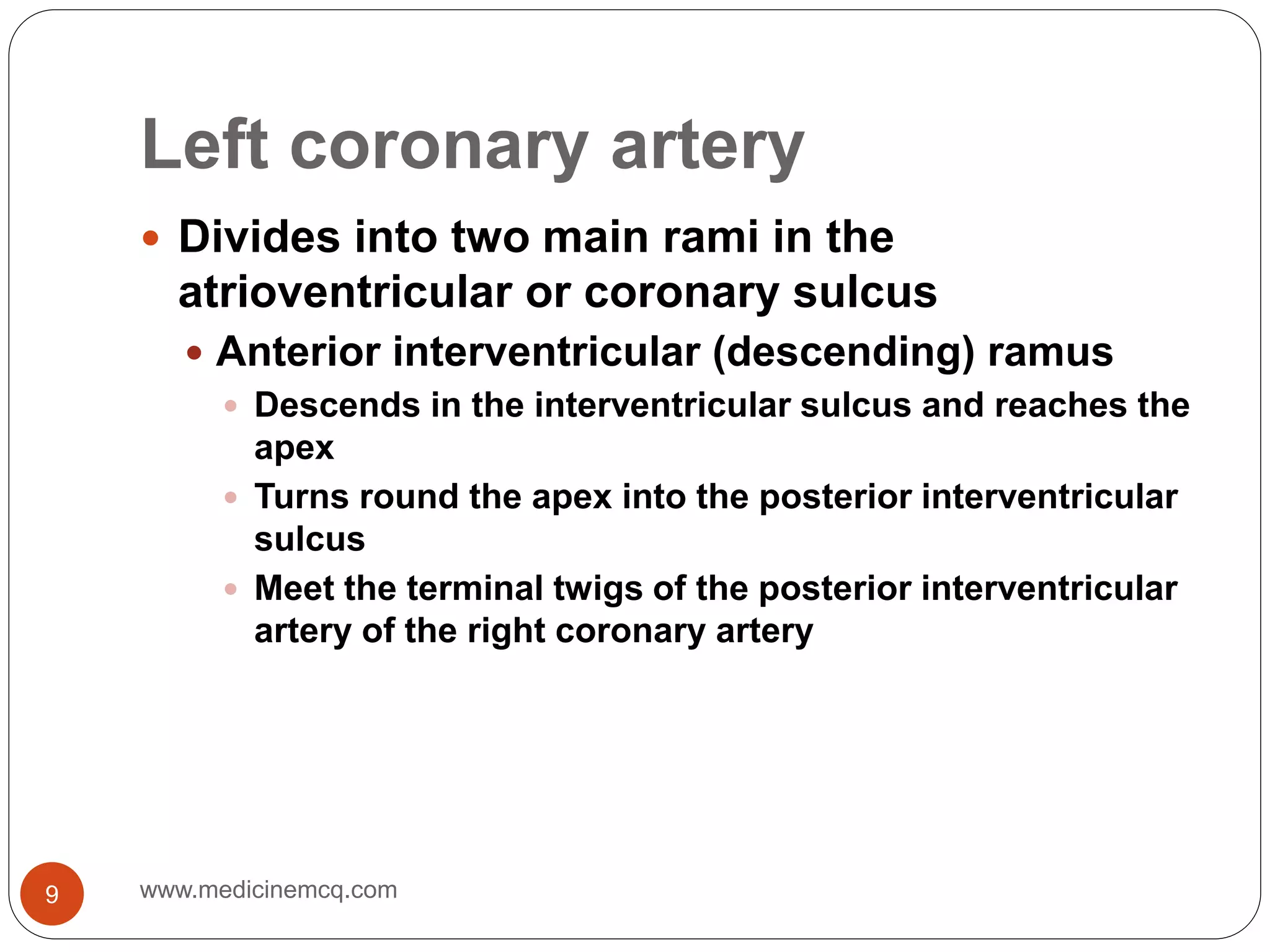 Coronary Circulation | PPTX