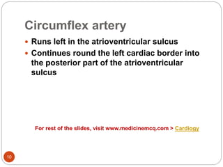 Coronary Circulation | PPTX