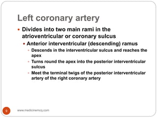Coronary Circulation | PPTX