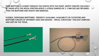 cardiovascular system disease there Gross appearances and morphological ...