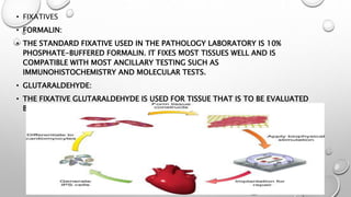 cardiovascular system disease there Gross appearances and morphological ...