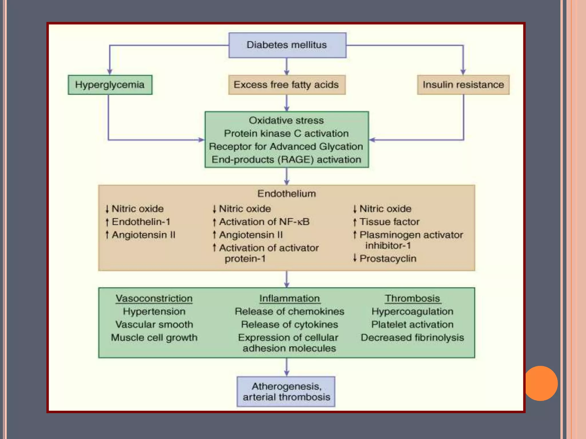 CARDIOVASCULAR DISEASE AND DIABETES | PPTX