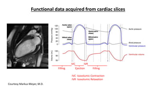 Cardiac Tissue Slices: Preparation, Data Acquisition, and Analysis | PPTX
