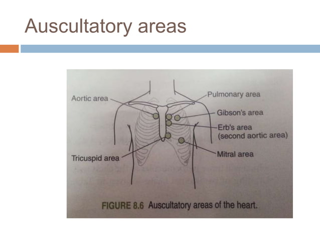 Percussion and Auscultation of CARDIOVASCULAR system. | PPTX
