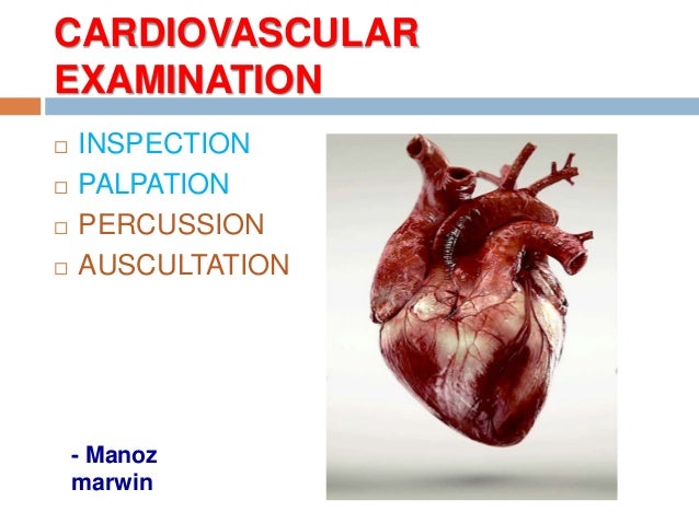 Percussion and Auscultation of CARDIOVASCULAR system.