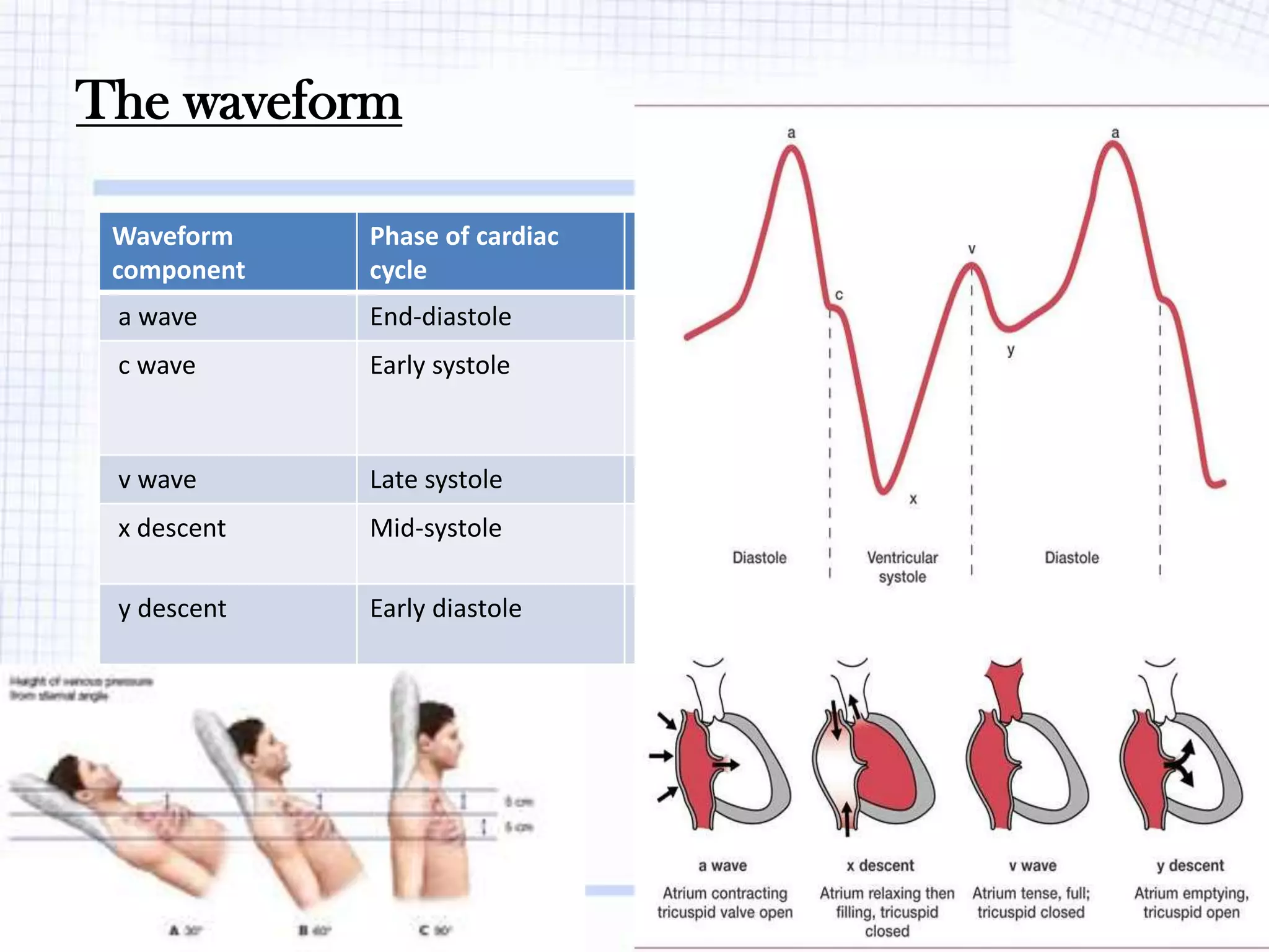 functional assessment and physical examination of the cardiovascular ...