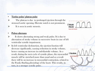 functional assessment and physical examination of the cardiovascular ...