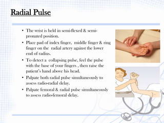 functional assessment and physical examination of the cardiovascular ...
