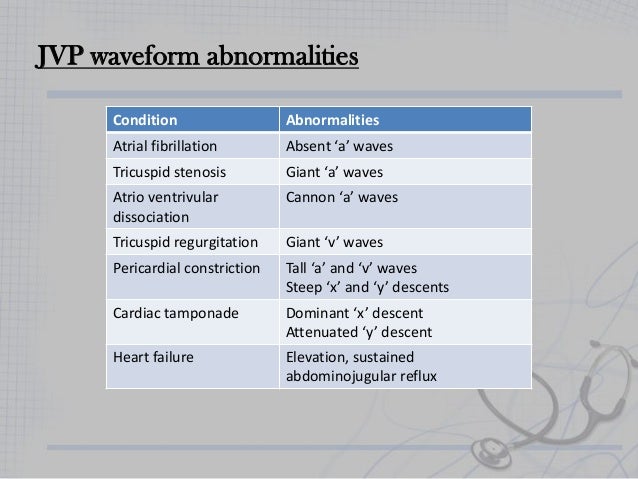 functional assessment and physical examination of the cardiovascular