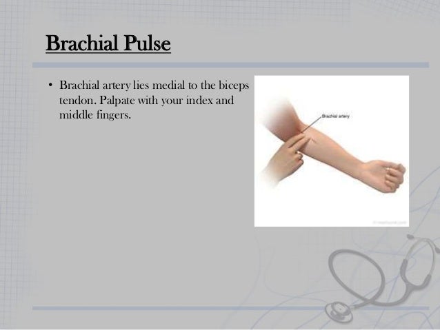 functional assessment and physical examination of the cardiovascular