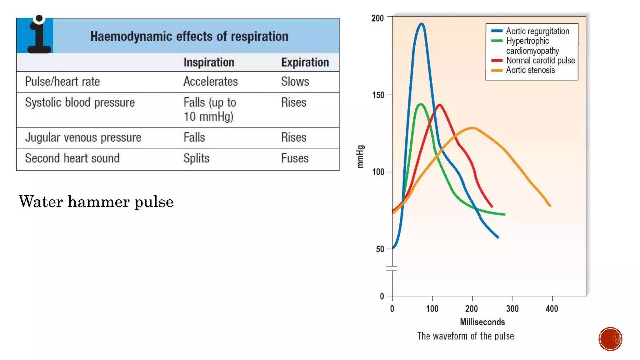 Clinical Examination of CVS | PPTX