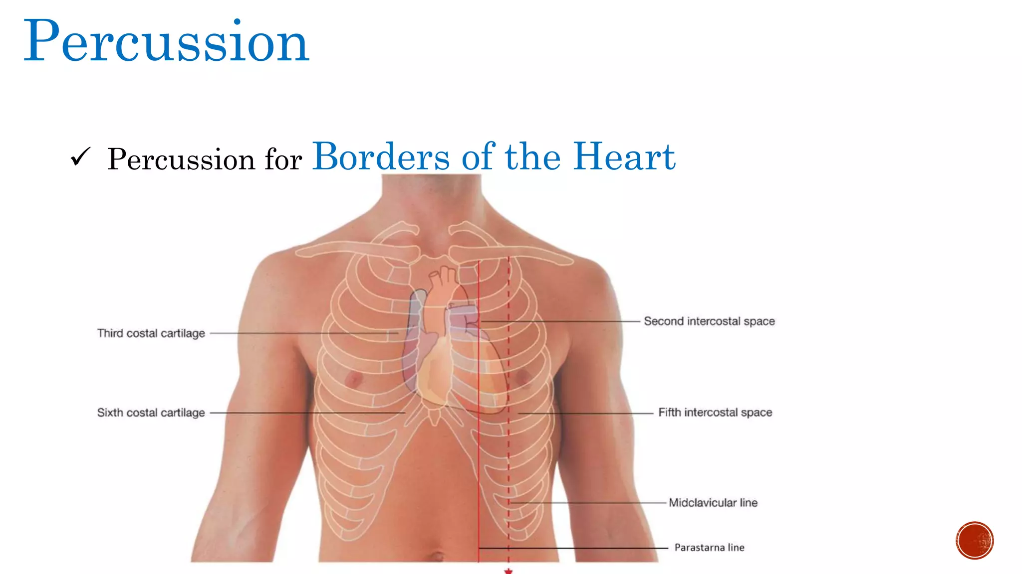 Clinical Examination Of CVS PPTX clinical-examination-of-cvs-pptx