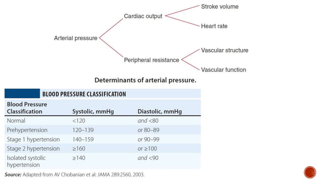 Clinical Examination of CVS | PPTX