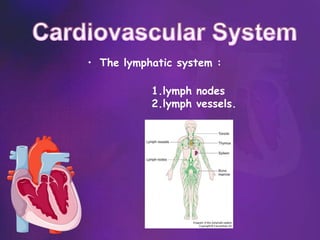 Cardiovascular system | PPTX