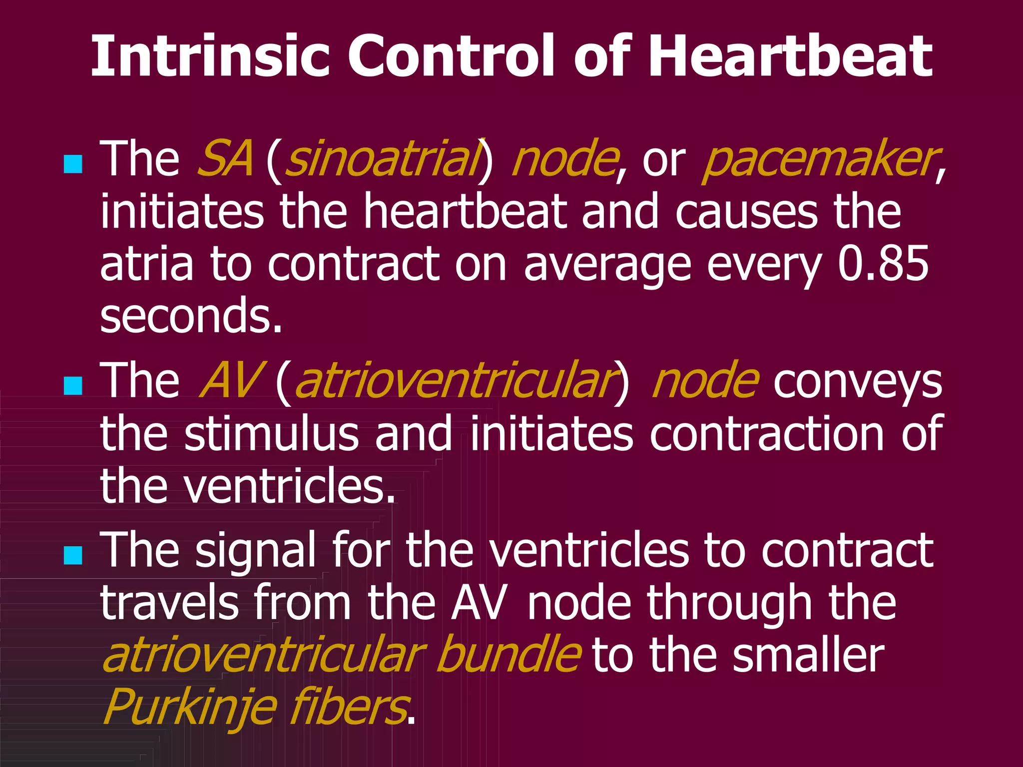 Cardiovascular System, Heart, Blood Vessel, ECG, Hypertension ...
