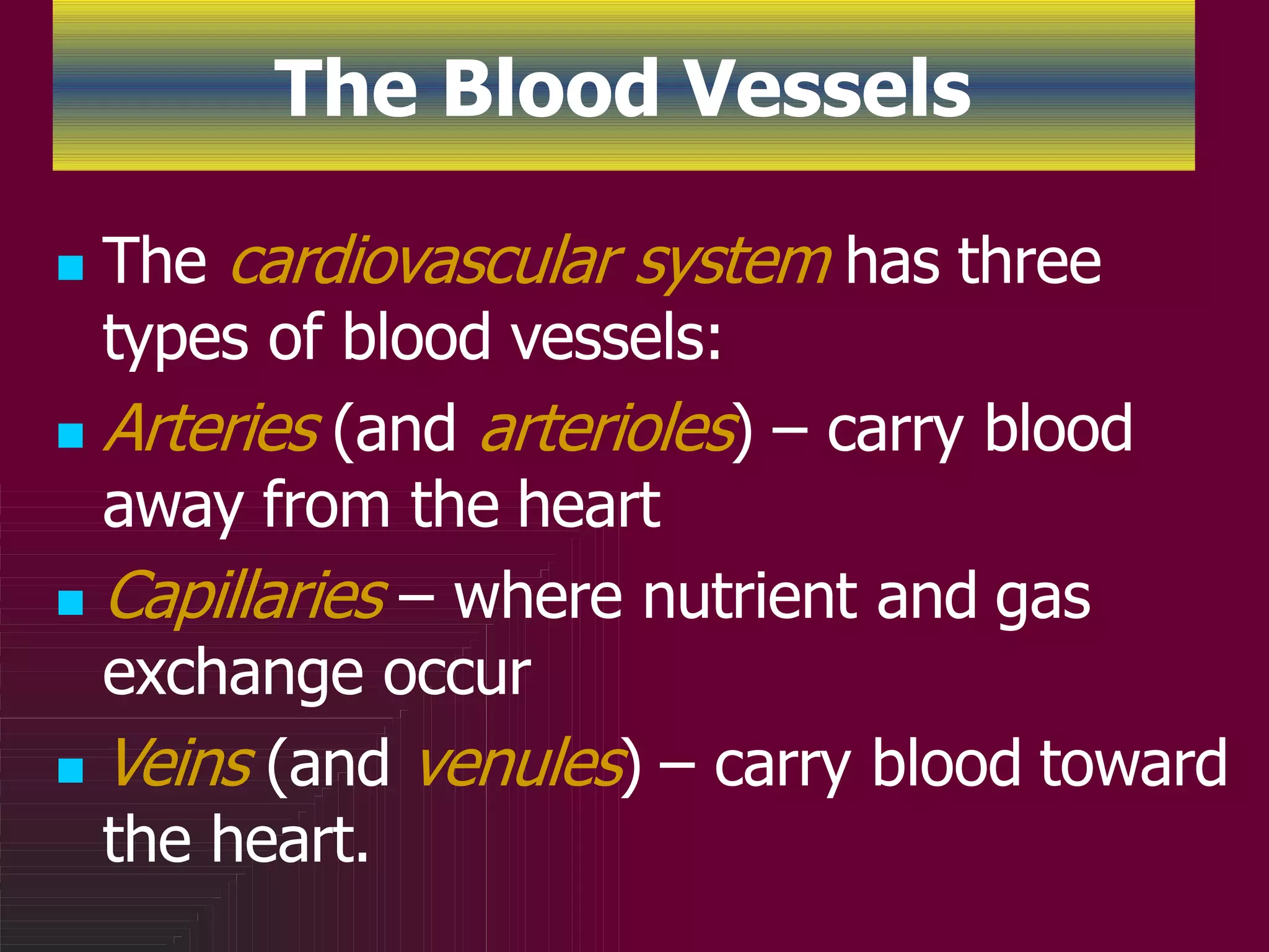 Cardiovascular System, Heart, Blood Vessel, ECG, Hypertension ...