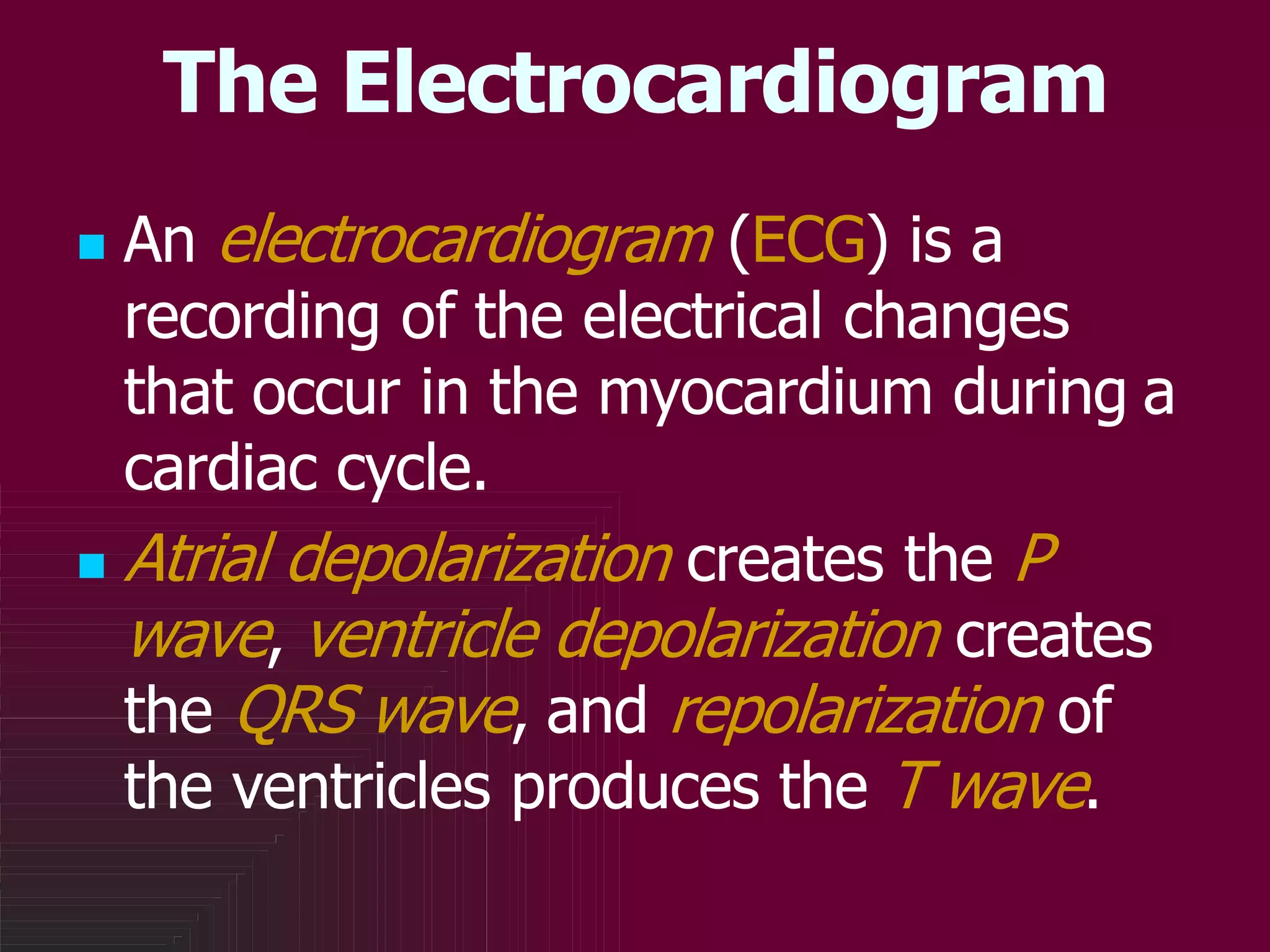 Cardiovascular System, Heart, Blood Vessel, ECG, Hypertension ...