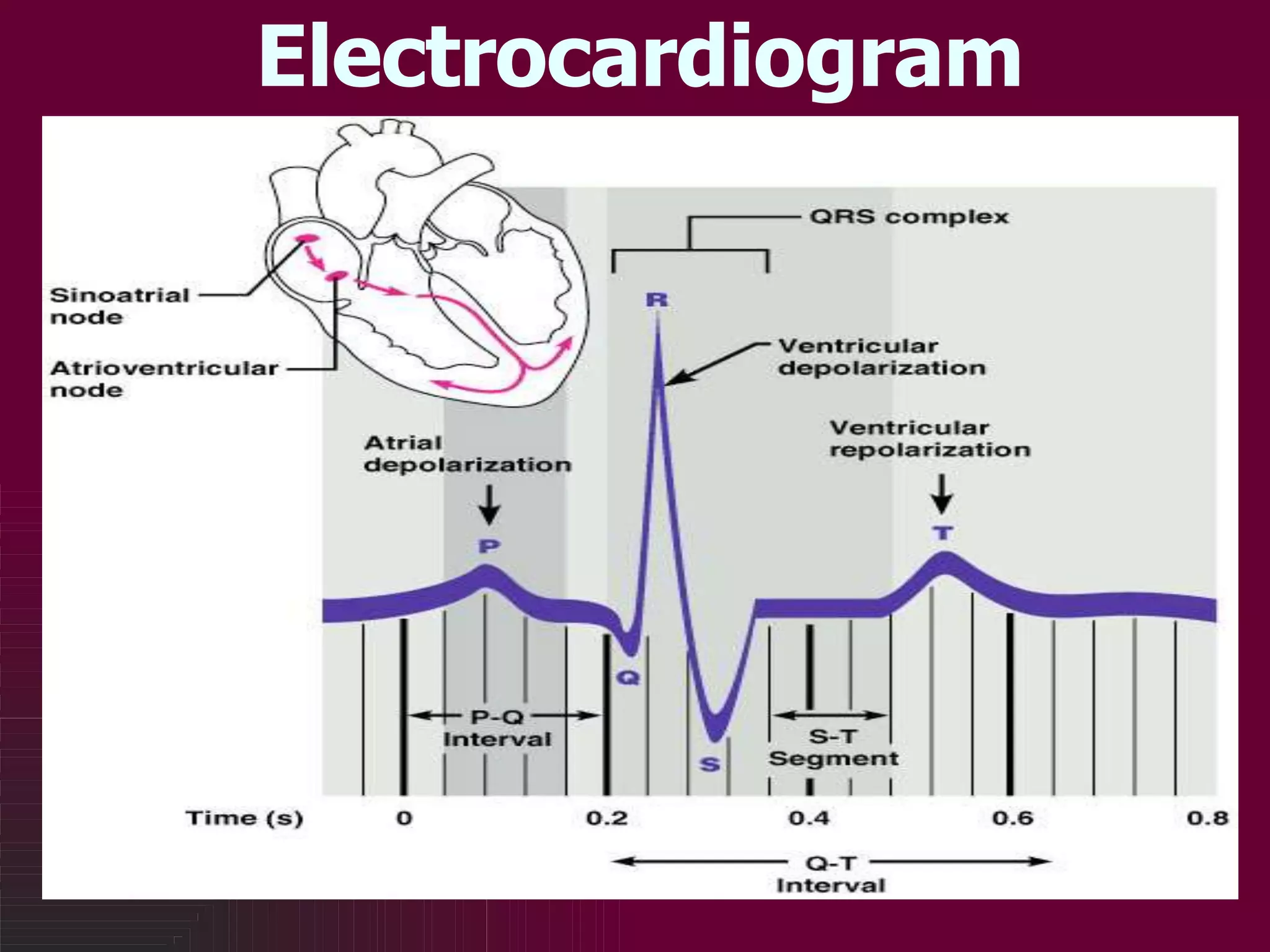 Cardiovascular System, Heart, Blood Vessel, ECG, Hypertension ...