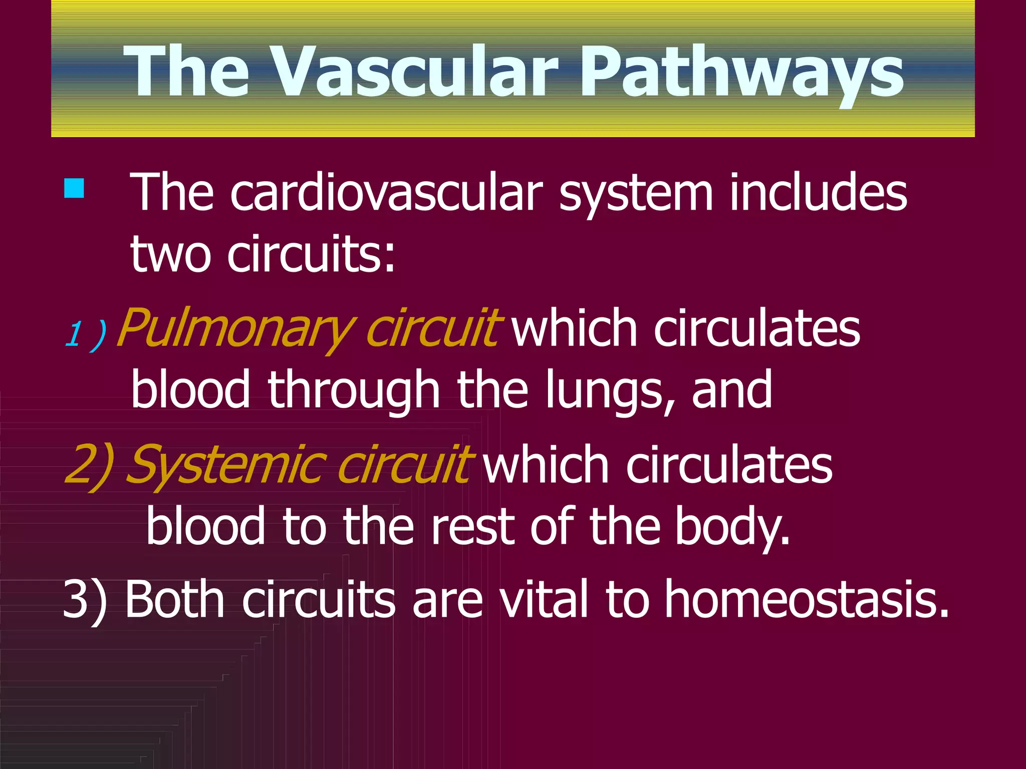 Cardiovascular System, Heart, Blood Vessel, ECG, Hypertension ...