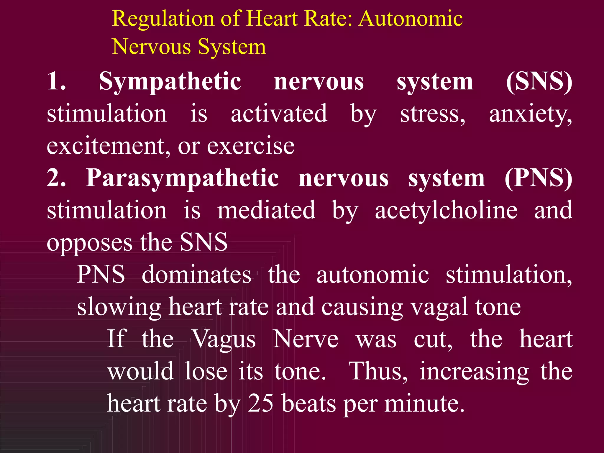 Cardiovascular System, Heart, Blood Vessel, ECG, Hypertension ...