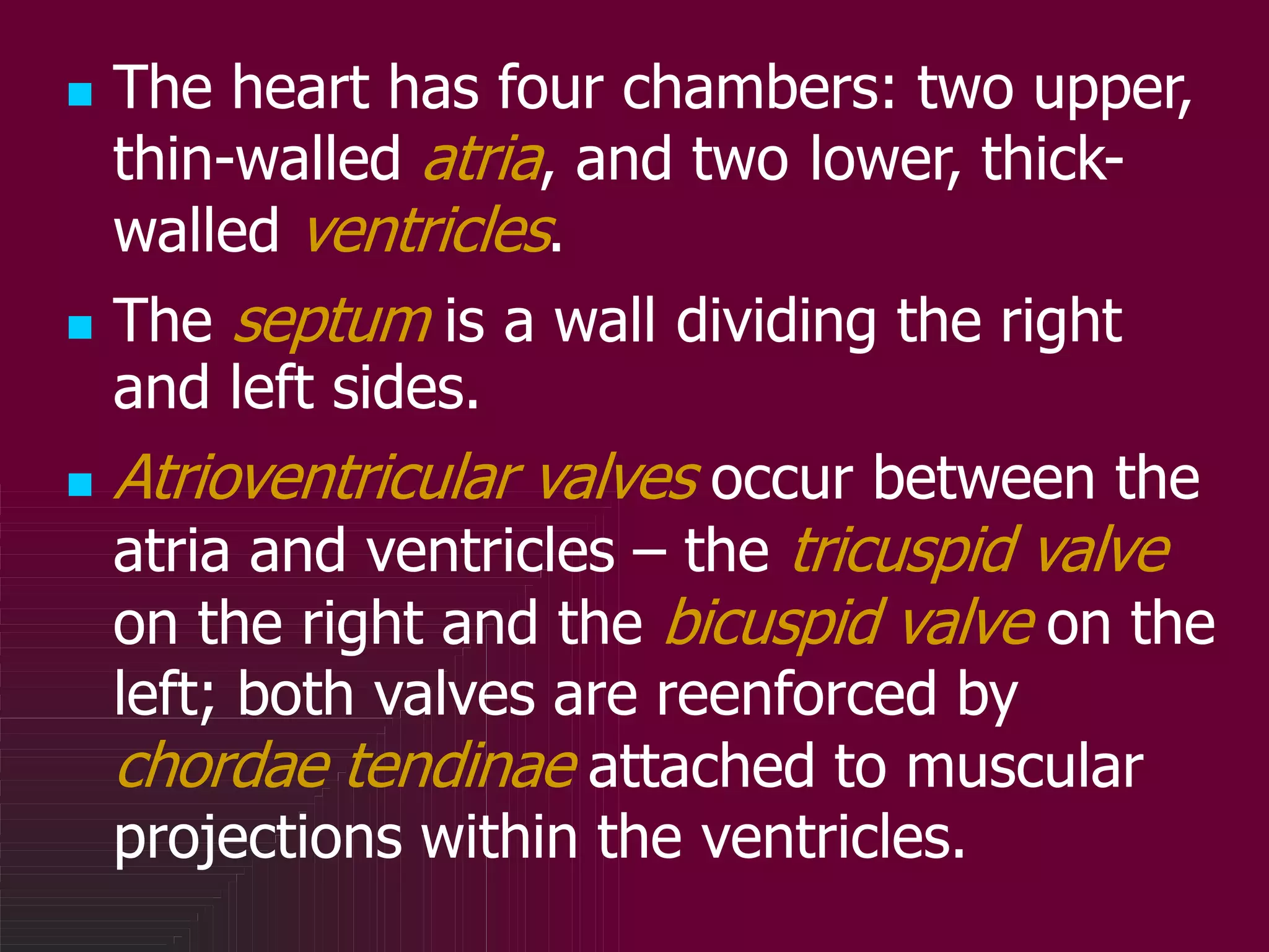 Cardiovascular System, Heart, Blood Vessel, ECG, Hypertension ...