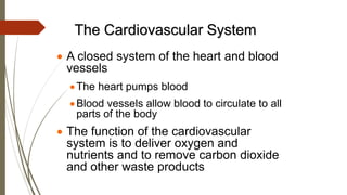 CVS heart anatomy.pptx | Heart and Cardiovascular Diseases | Diseases ...