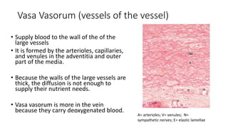 cardiovascularCCCfsdsdsdCVS Histology.pptx