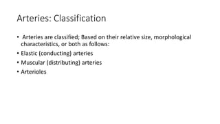cardiovascularCCCfsdsdsdCVS Histology.pptx