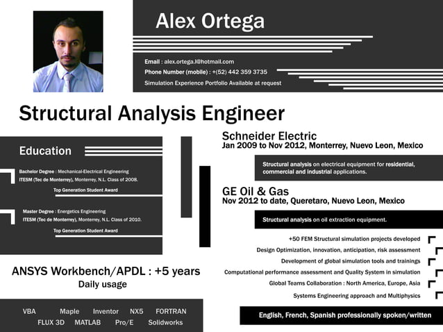 CV Alex Ortega 2014 | PPT