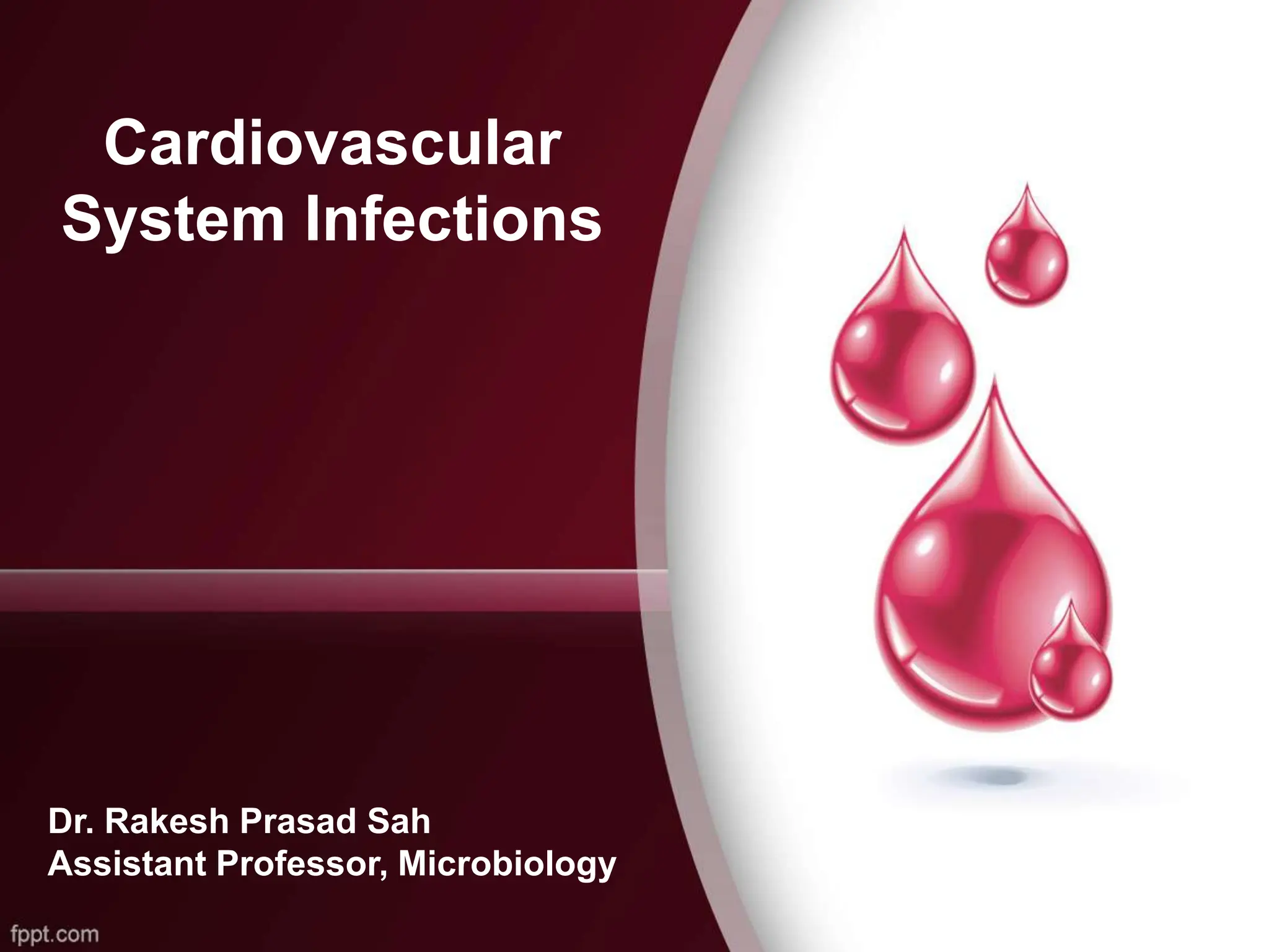 Cardiovascular system infections by Rakesh Prasad Sah | PPT