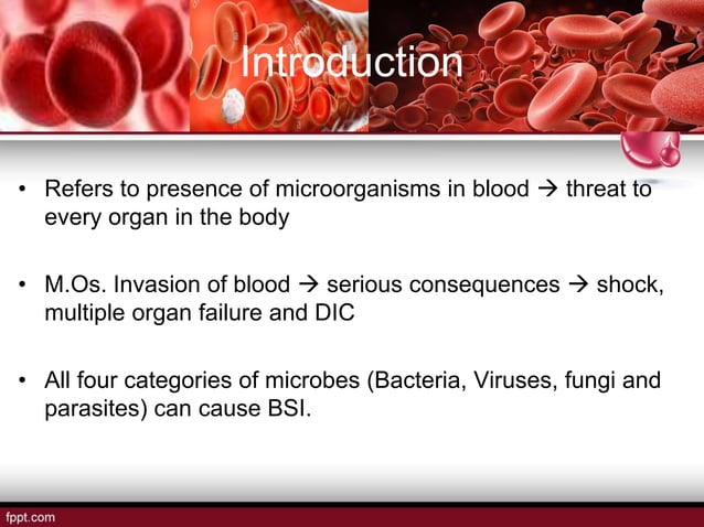 Cardiovascular system infections by Rakesh Prasad Sah | PPT | Heart and ...