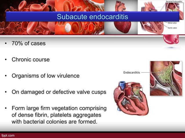 Cardiovascular system infections by Rakesh Prasad Sah | PPT | Heart and ...