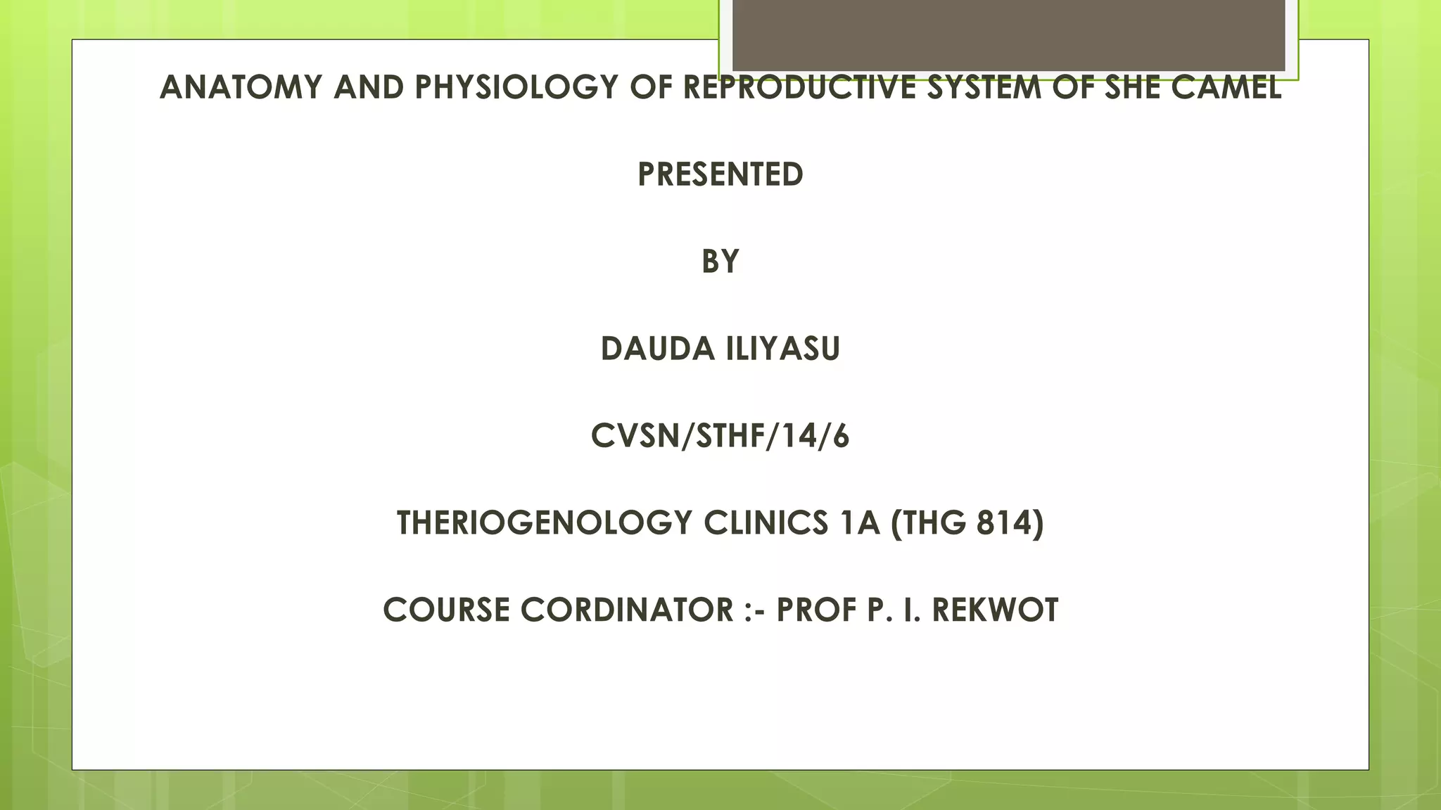 ANOTOMY AND PHYSIOLOGY OF REPRODUCTIVE SYSTEM OF SHE CAMEL | PPTX