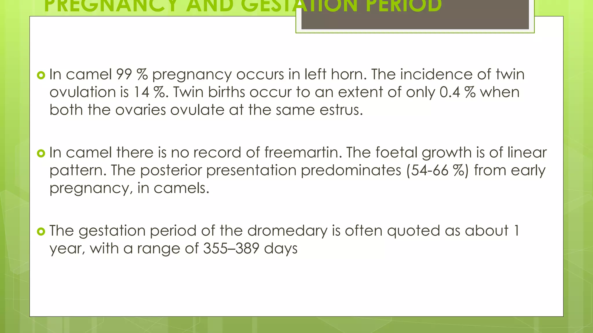 ANOTOMY AND PHYSIOLOGY OF REPRODUCTIVE SYSTEM OF SHE CAMEL | PPTX