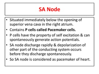 cvs nursing 10.1.23 (1).pdf