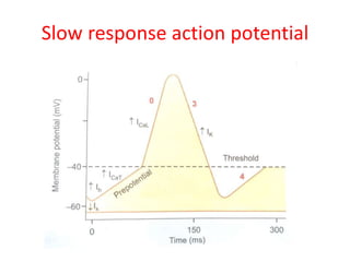 cvs nursing 10.1.23 (1).pdf