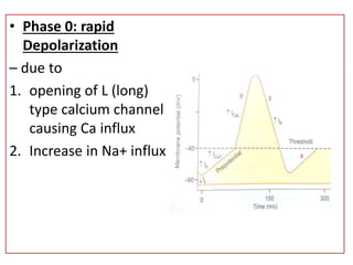 cvs nursing 10.1.23 (1).pdf
