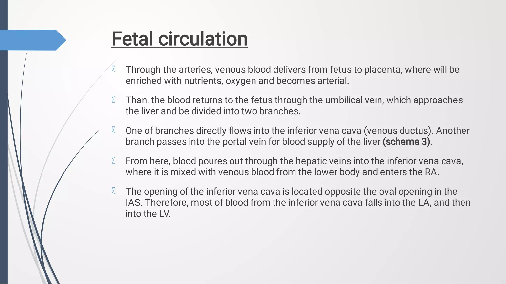 Cardiovascular System (pediatrics) | PDF