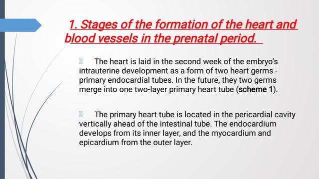 Cardiovascular System (pediatrics) | PDF