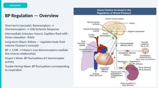 Comprehensive Cardiology Overview: Embryology, Physiology, and Heart ...