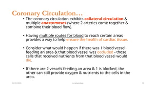 CVS physiology ( med ).pptx . physiology | PPTX